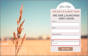 Show Pre-Filled Values for a Landing Page Form Field - Help & Support