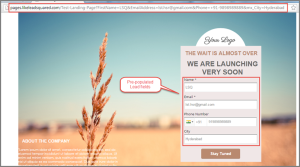 How to pre-populate Landing Page Form fields? - Help & Support
